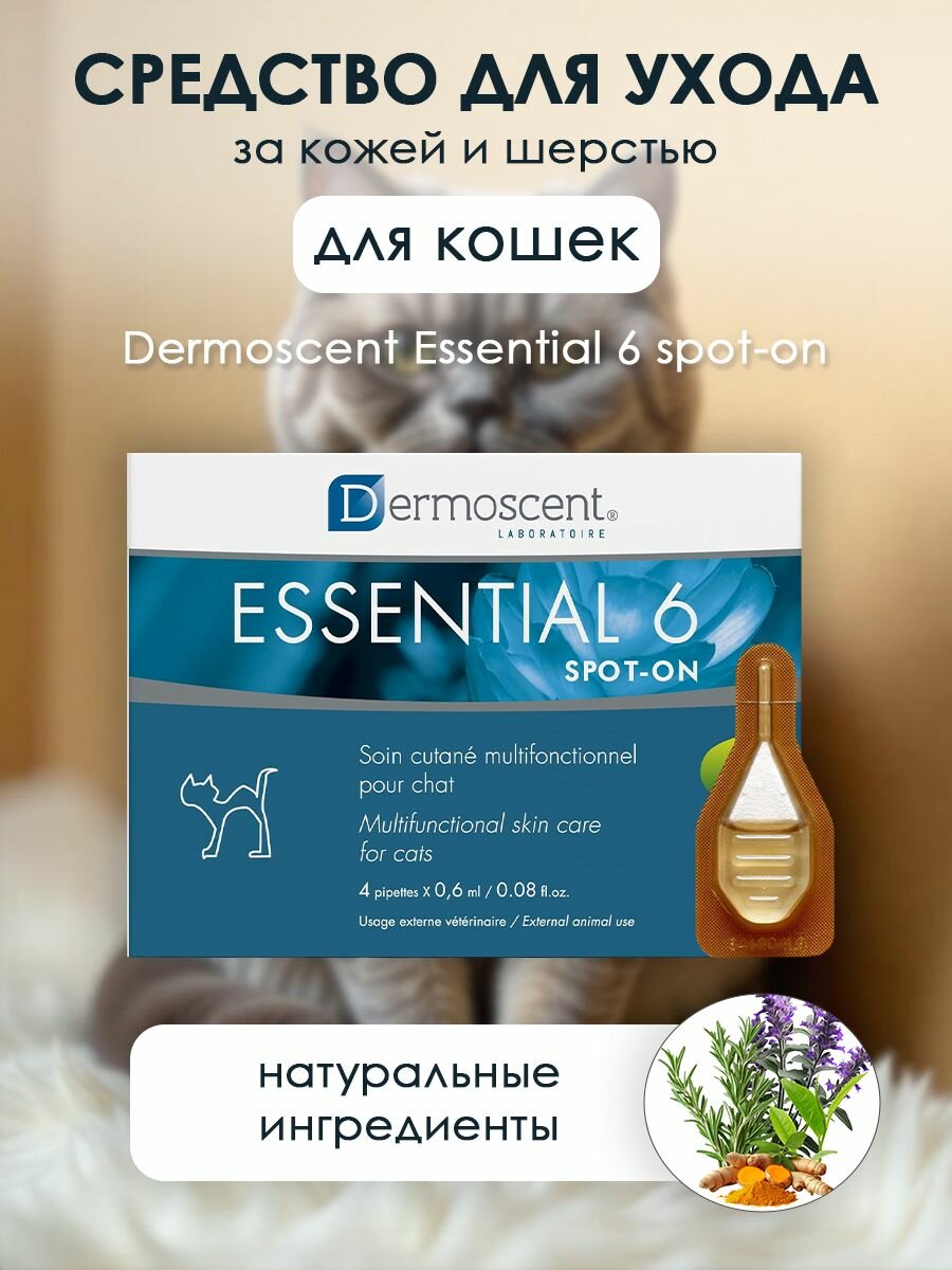 Для кошек капли для кожи и шерсти Dermoscent Essential 6 Spot-On