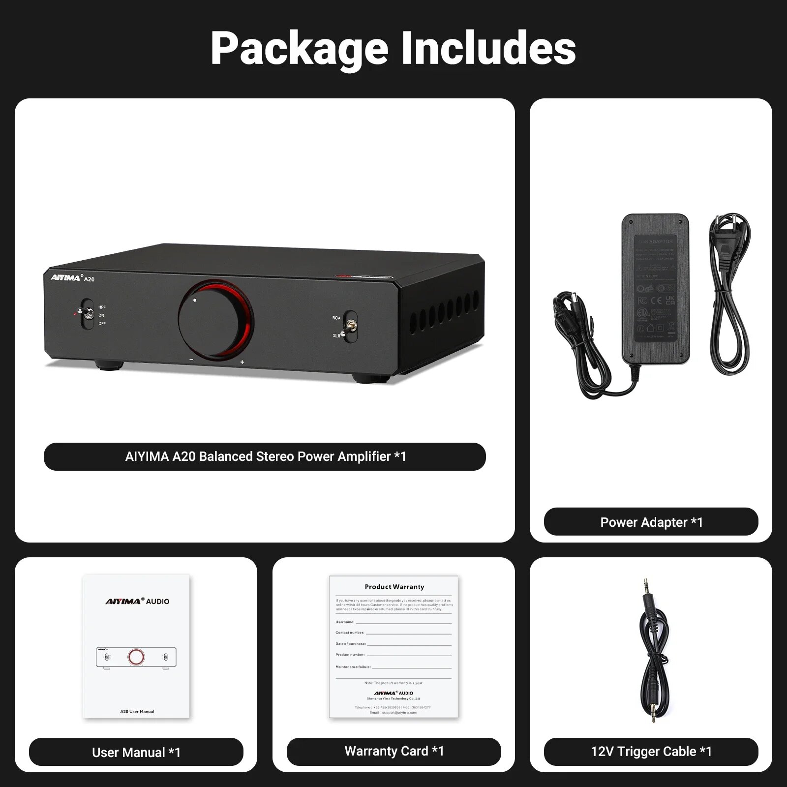 Aiyima Audio A20 Stereo Power Amplifier A20 with 48V EU