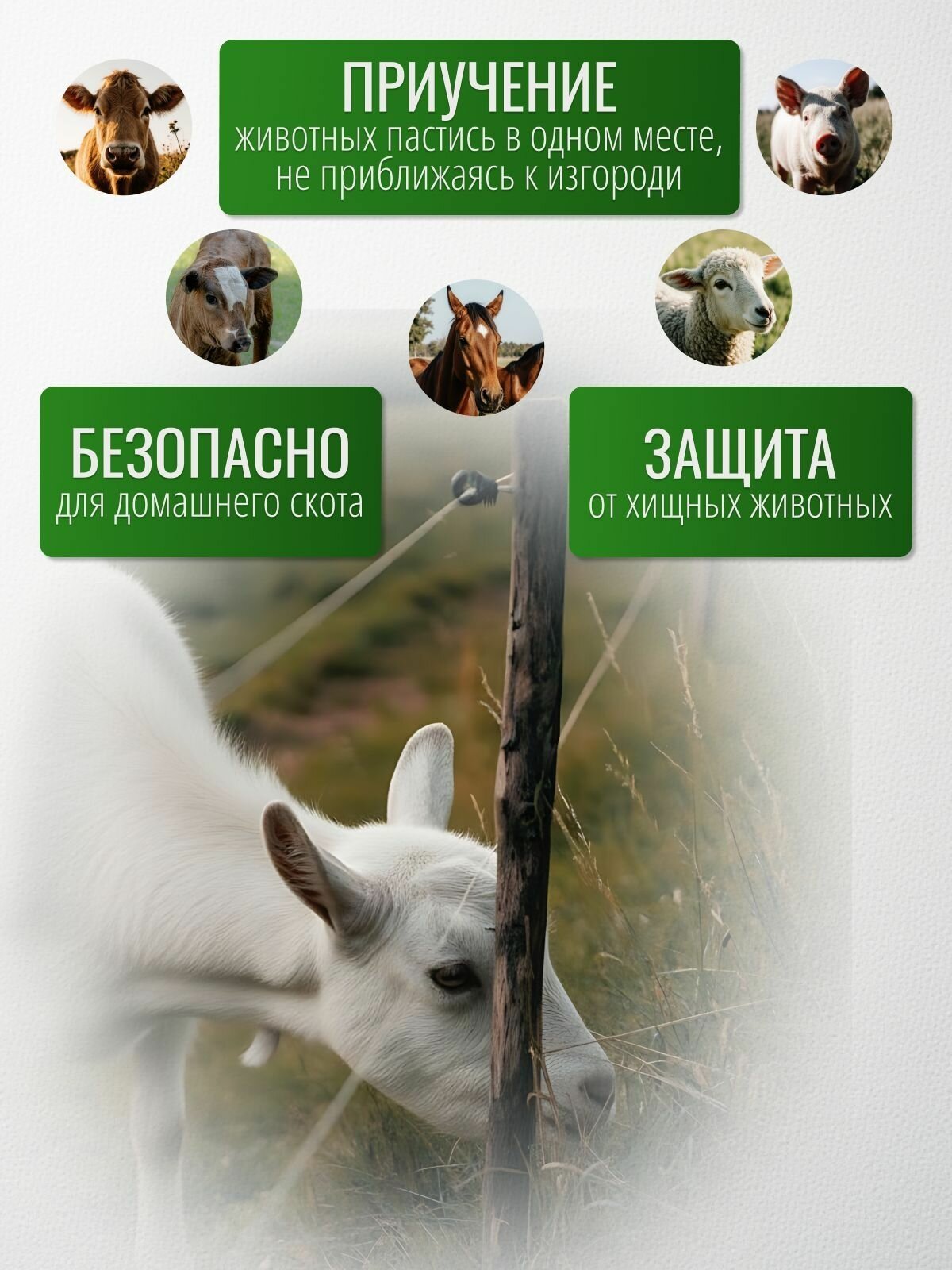 Электропастух GIGANT, для лошадей, КРС, овец, коз, 20 км, 100 га — фото 1