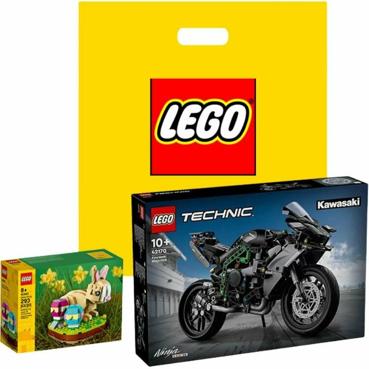 LEGO Technology Mechanical Set Мотоцикл Конструктор 643 шт. 42170