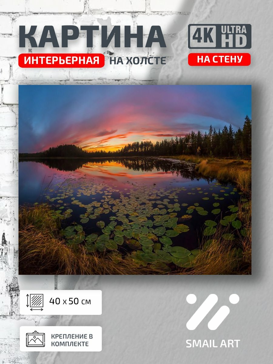 Картина на холсте интерьерная 40 на 50 на стену Лес Landscape для гостиной пейзаж интерьер