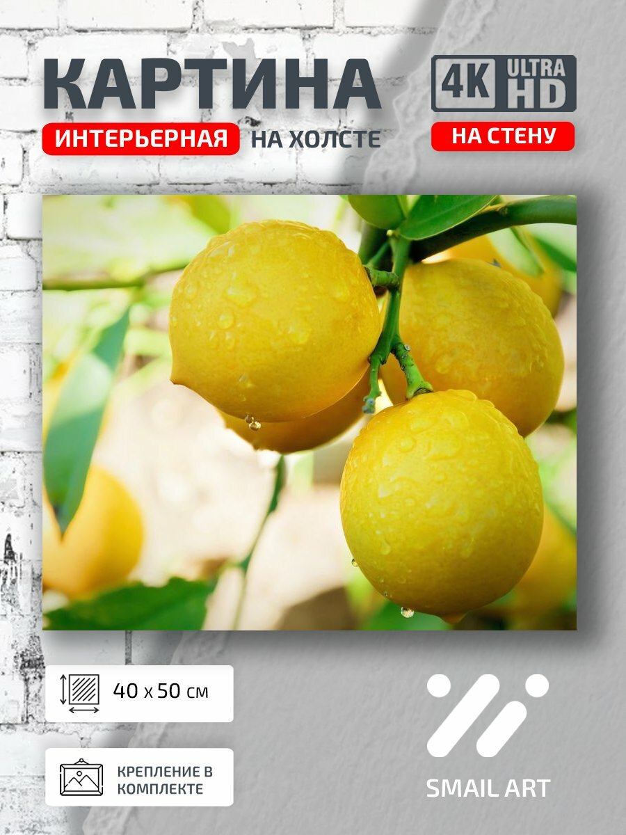 Картина на холсте интерьерная 40 на 50 на стену Капли Food для кафе кулинария интерьер