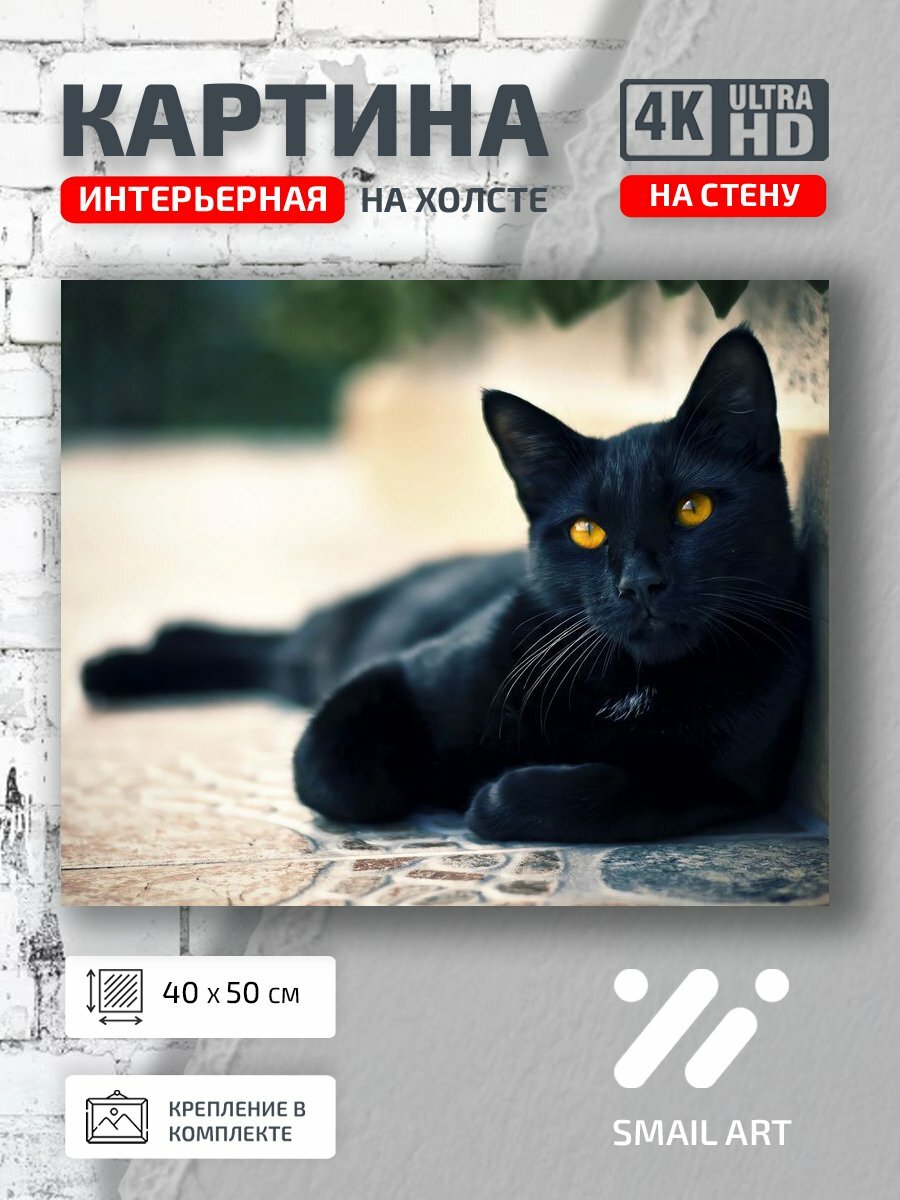 Картина на холсте интерьерная 40 на 50 на стену Глазами Animal для детской animal style