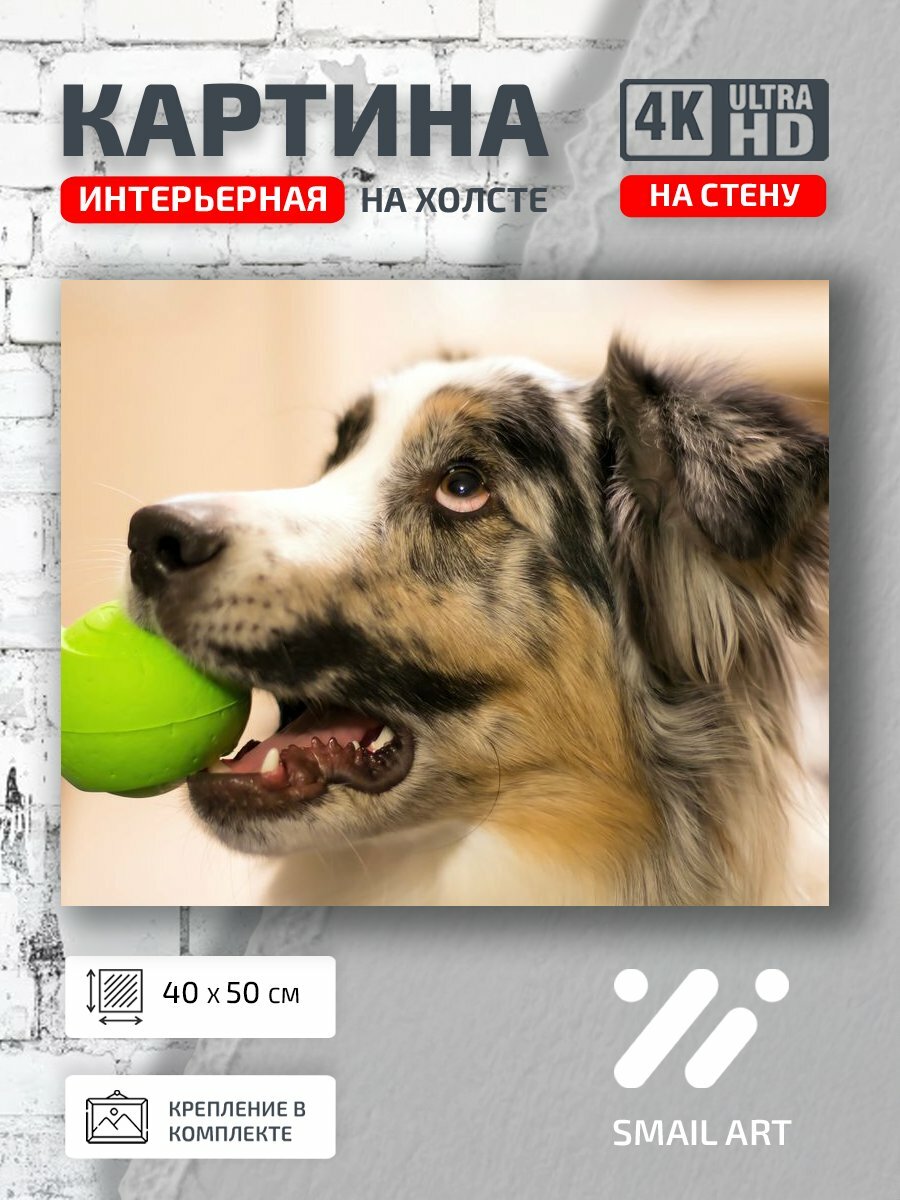 Картина на холсте интерьерная 40 на 50 на стену Пес Animal для спальни animal style декор