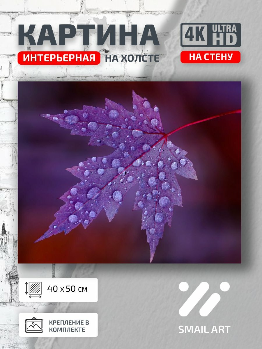 Картина на холсте интерьерная 40 на 50 на стену Капли sheet для кабинета пейзаж интерьер