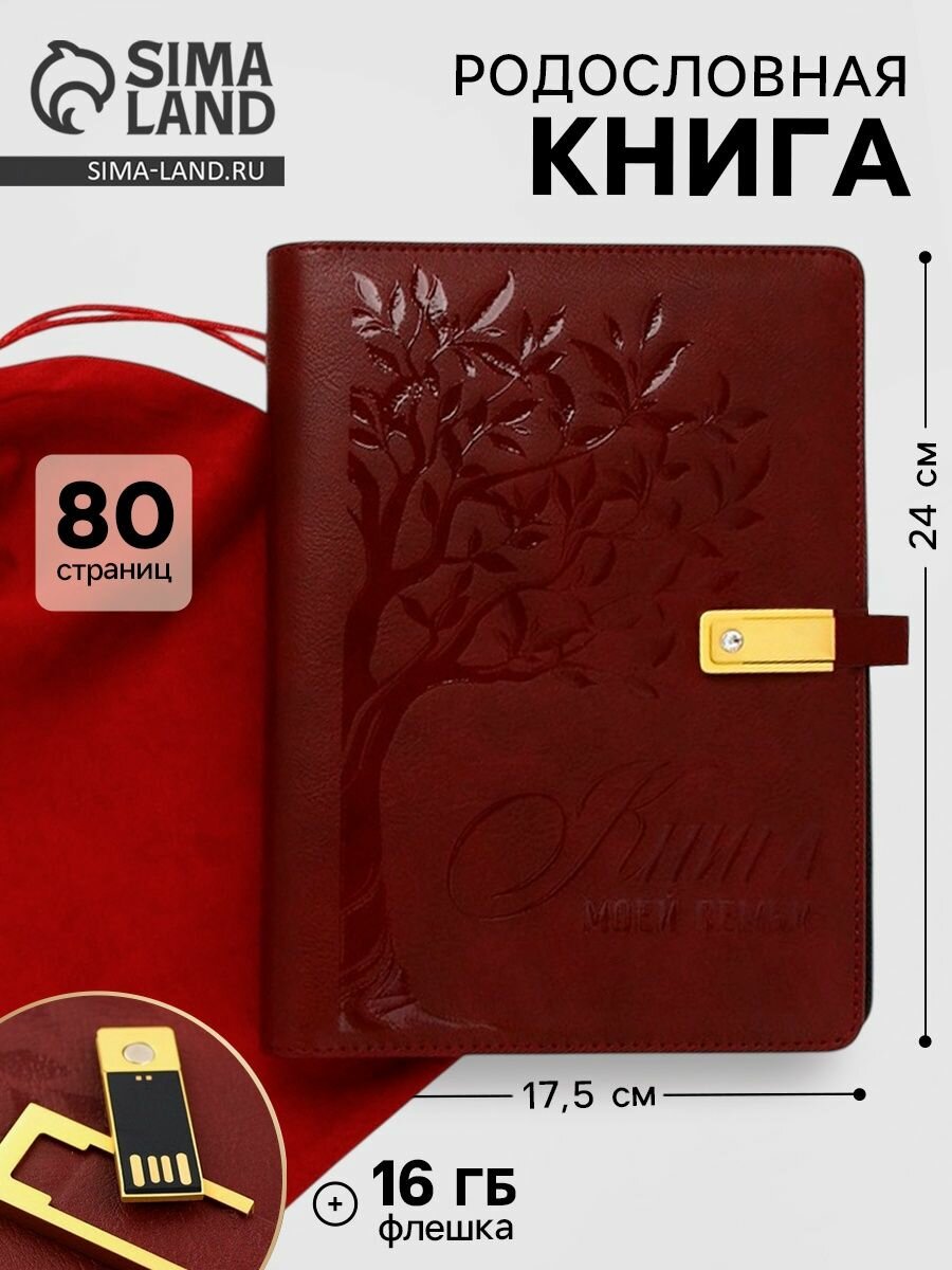 Родословная книга со встроенной флешкой 16 Gb "Книга всей семьи", 17,5 х 23 см