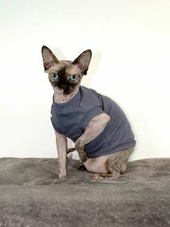 Майка для сфинкса, серая, разм L