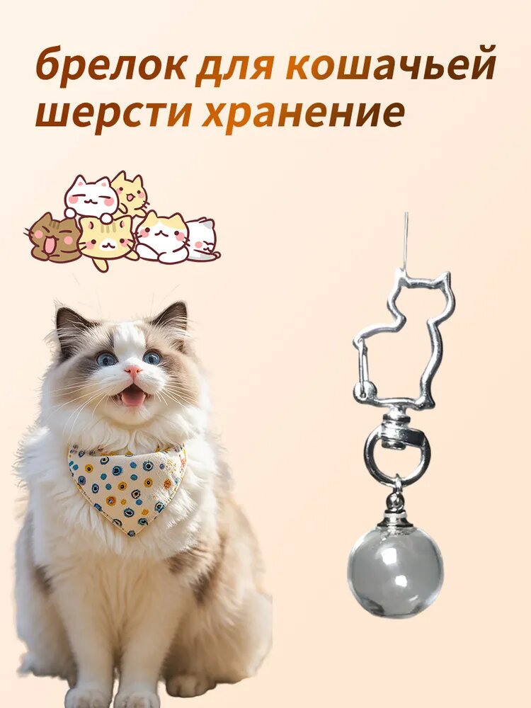 Прозрачная капсула для хранения кошачьей шерсти, пластиковый контейнер-брелок, коллекционный аксессуар для любителей кошек