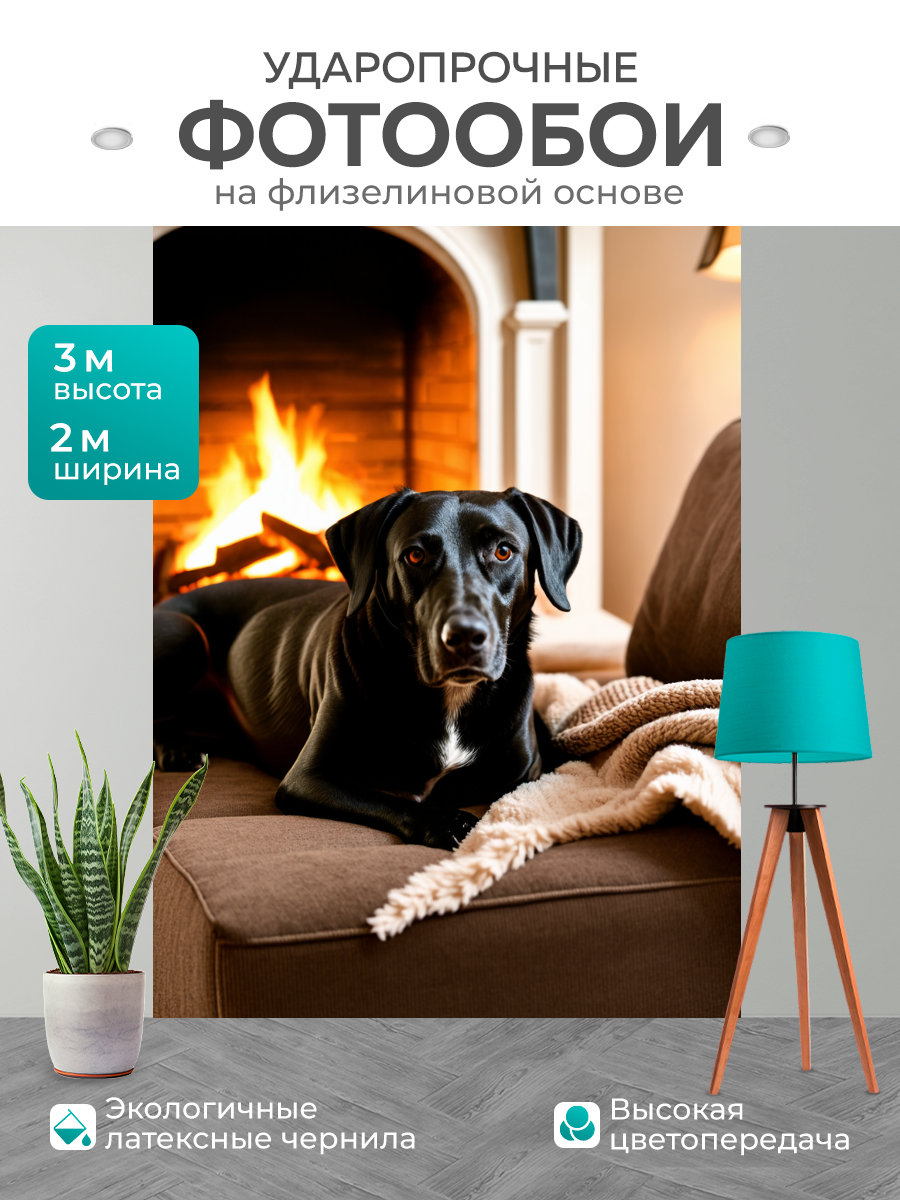 Фотообои моющиеся ударопрочные "Собака, лежащая на диване в уютной комнате, с пледом на фоне камина, теплый свет, заботливый взгляд, чёрная порода" 200x300 см. флизелиновые на стену