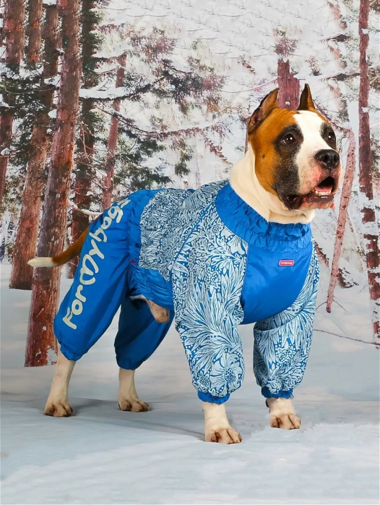 Комбинезон For my dogs, для крупных пород, голубой, D1, для добермана, боксера, американского бульдога, бульмастифа