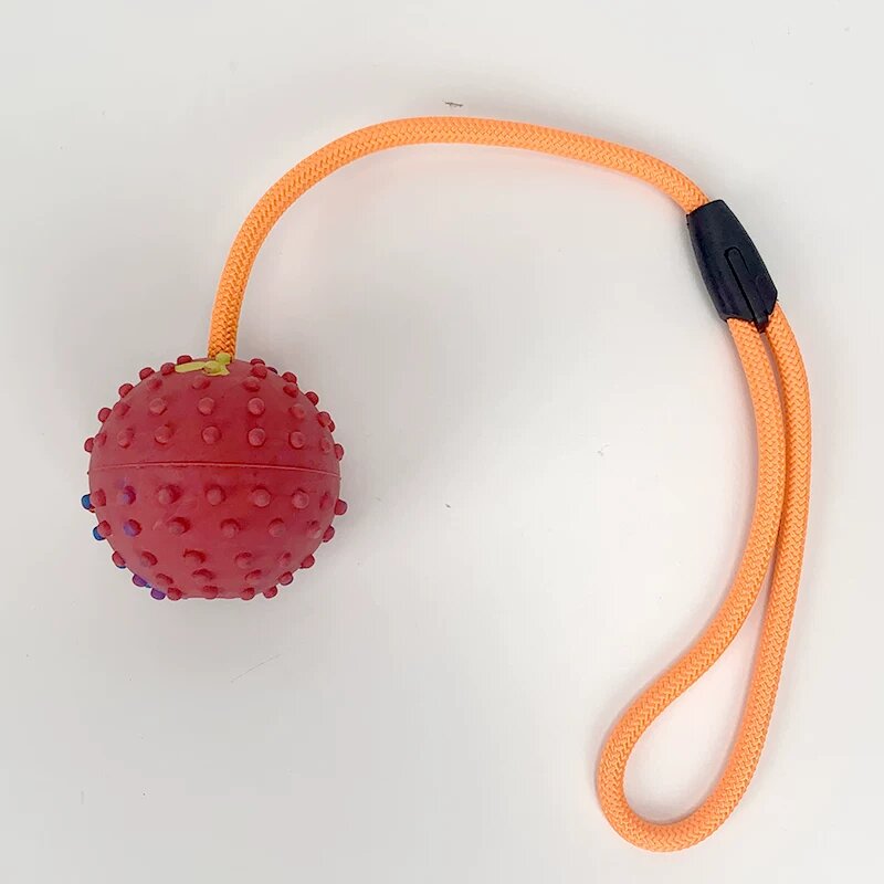 Игрушка-мяч для дрессировки собак с звуком, для лабрадоров, для маленьких и крупных собак, звуковой мяч Маленький,