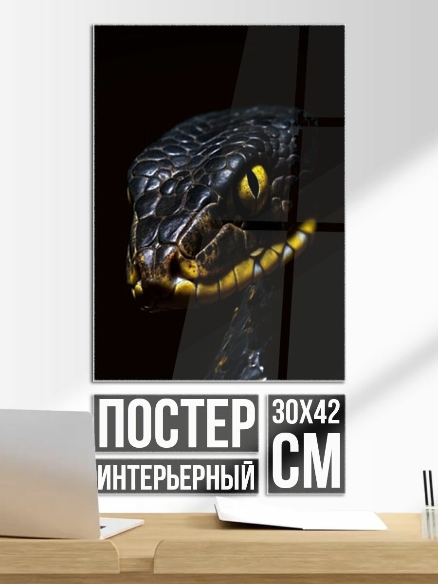 Постер на стену Голова черной змеи