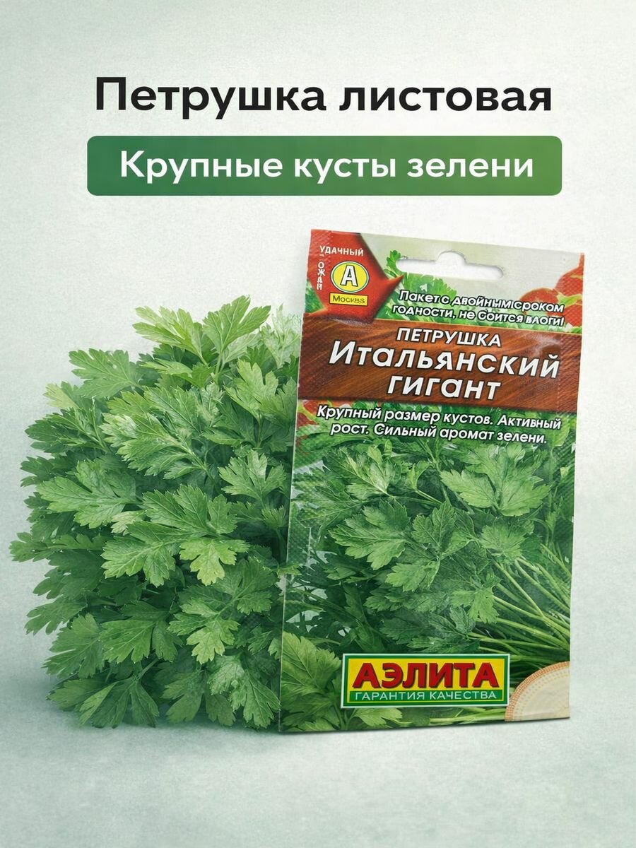 5шт Семена петрушки листовой Итальянский гигант, зелень для дома и дачи