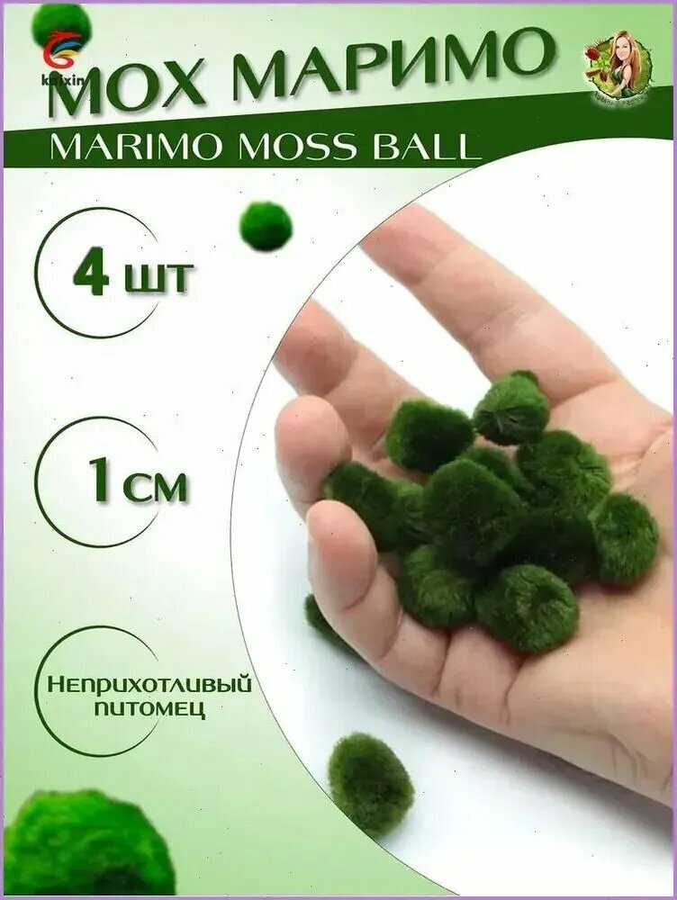 Кладофора шаровидная мох маримо (Aegagropila linnaei) 1см 4шт.