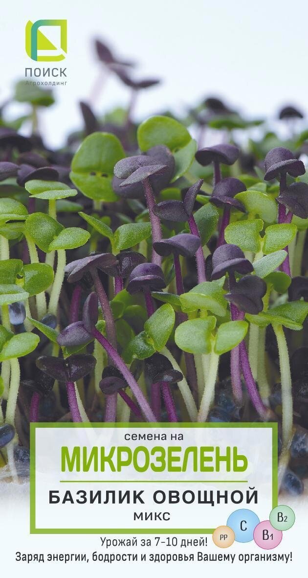 Семена Поиск микрозелень Базилик овощной микс, для дачи, сада, огорода и на рассаду