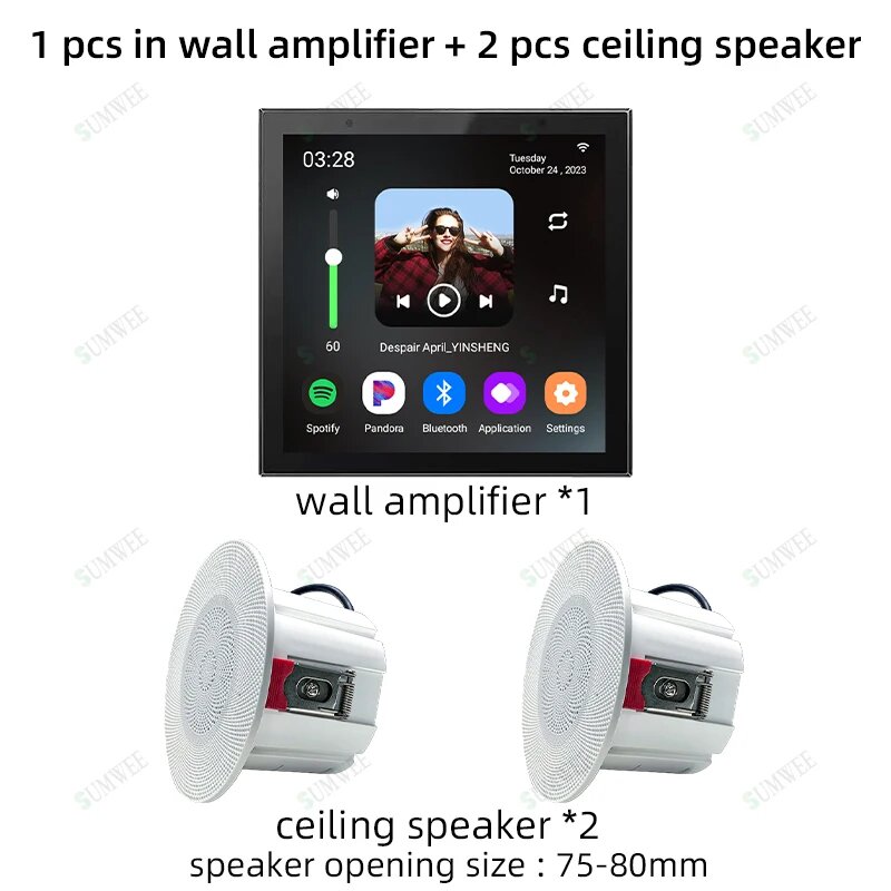 Умная аудиосистема TUYA для дома, настенный усилитель звука, система Android 11, Black amp-2 spks