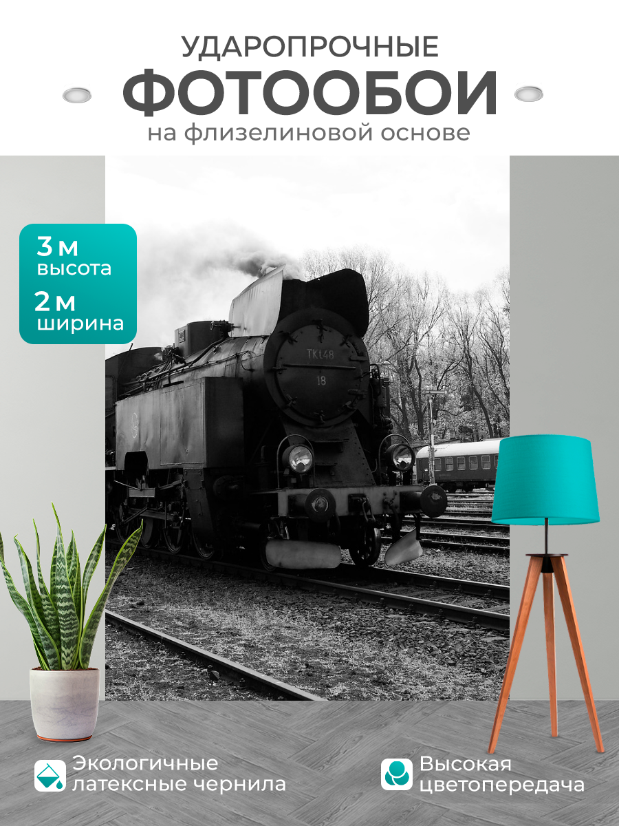 Фотообои моющиеся ударопрочные "Поезд, паровоз, ретро" 200x300 см. флизелиновые на стену