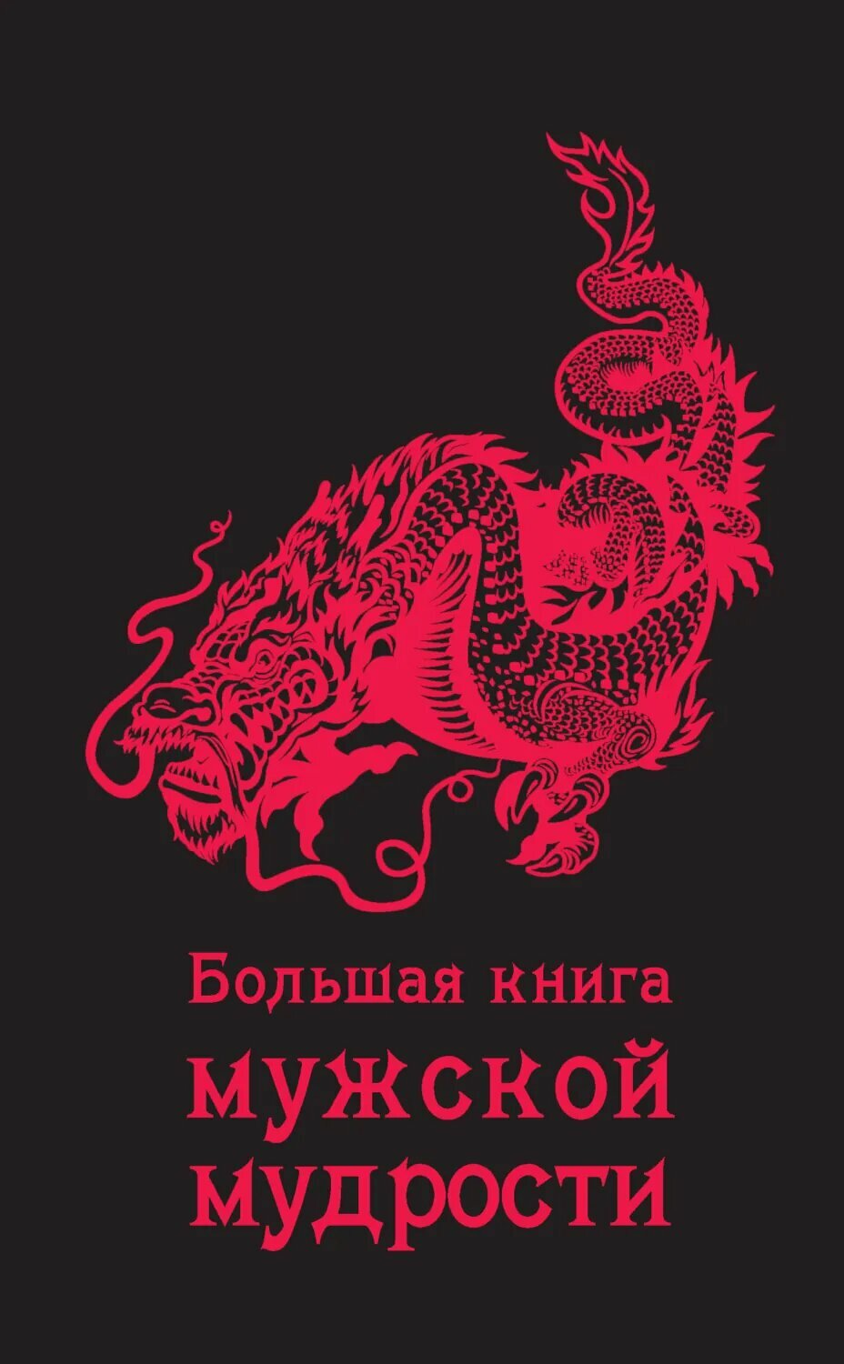 Большая книга мужской мудрости [Цифровая книга]