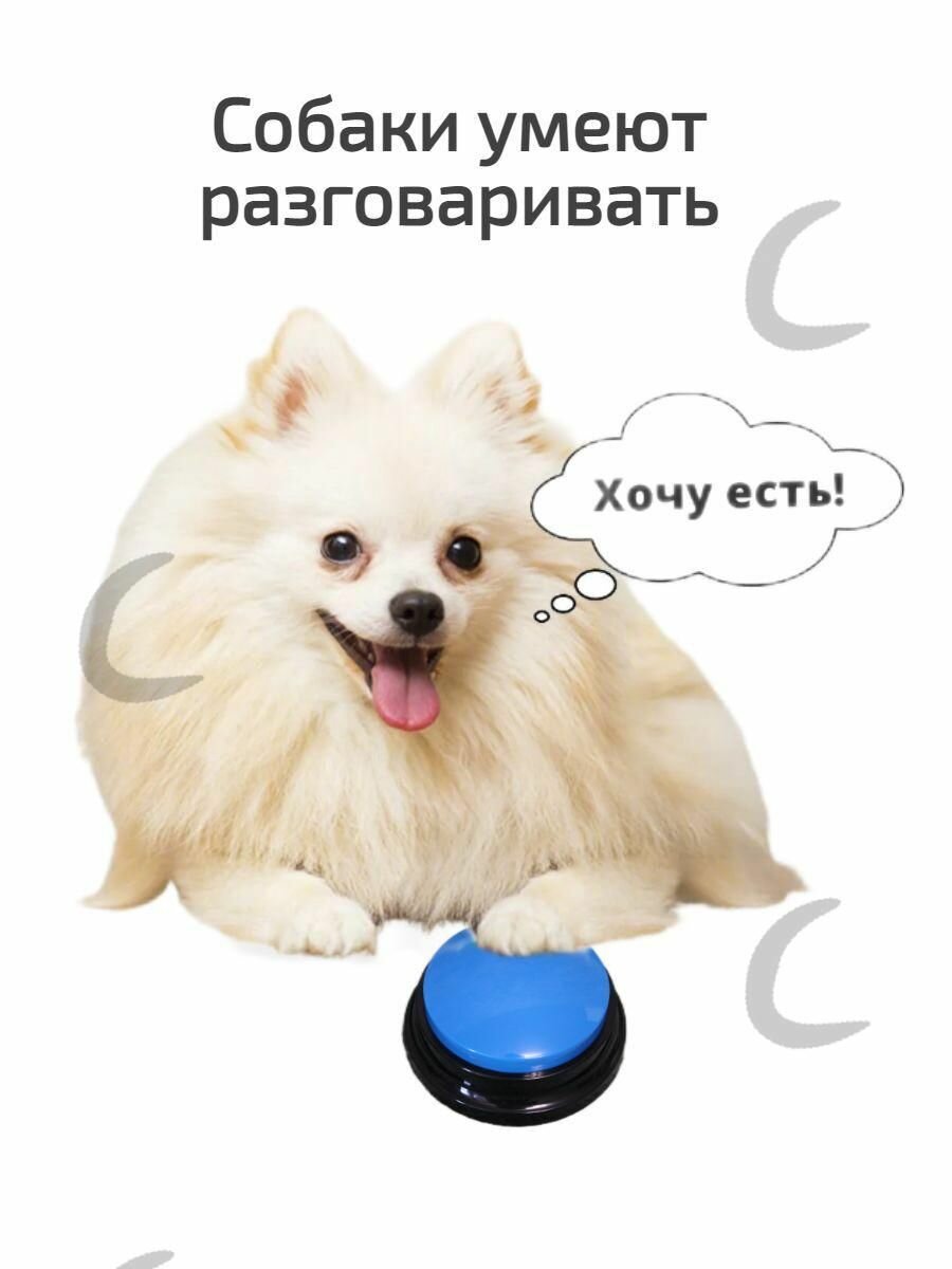 Игрушка для животных