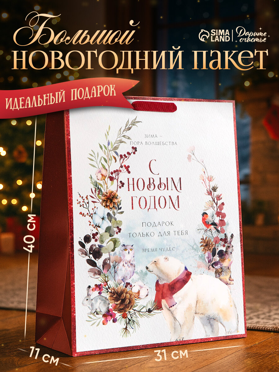 Подарочный пакет «Время чудес», L 31 × 40 × 11,5 см, белый, для упаковки подарк ана Новый Год
