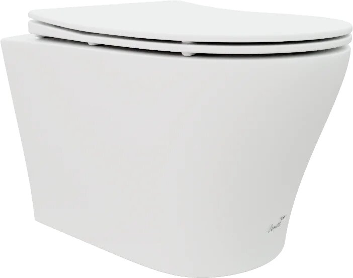 Унитаз подвесной Ceruttispa Adige Aria 9245 с микролифтом, безободковый, без бачка, фарфоровый, антивсплеск, белый овальный