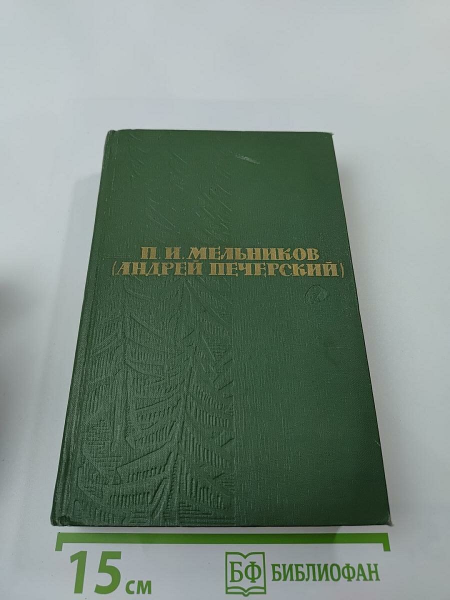 В лесах. Книга первая