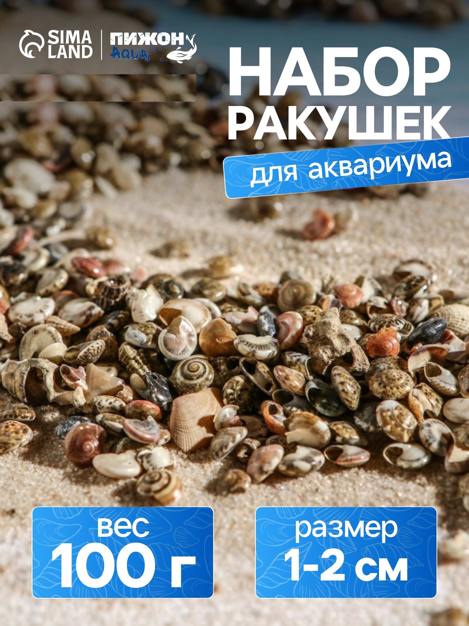 Набор ракушек Пижон Аква "Умбониум Вестериум", 100 г, цвет коричневый