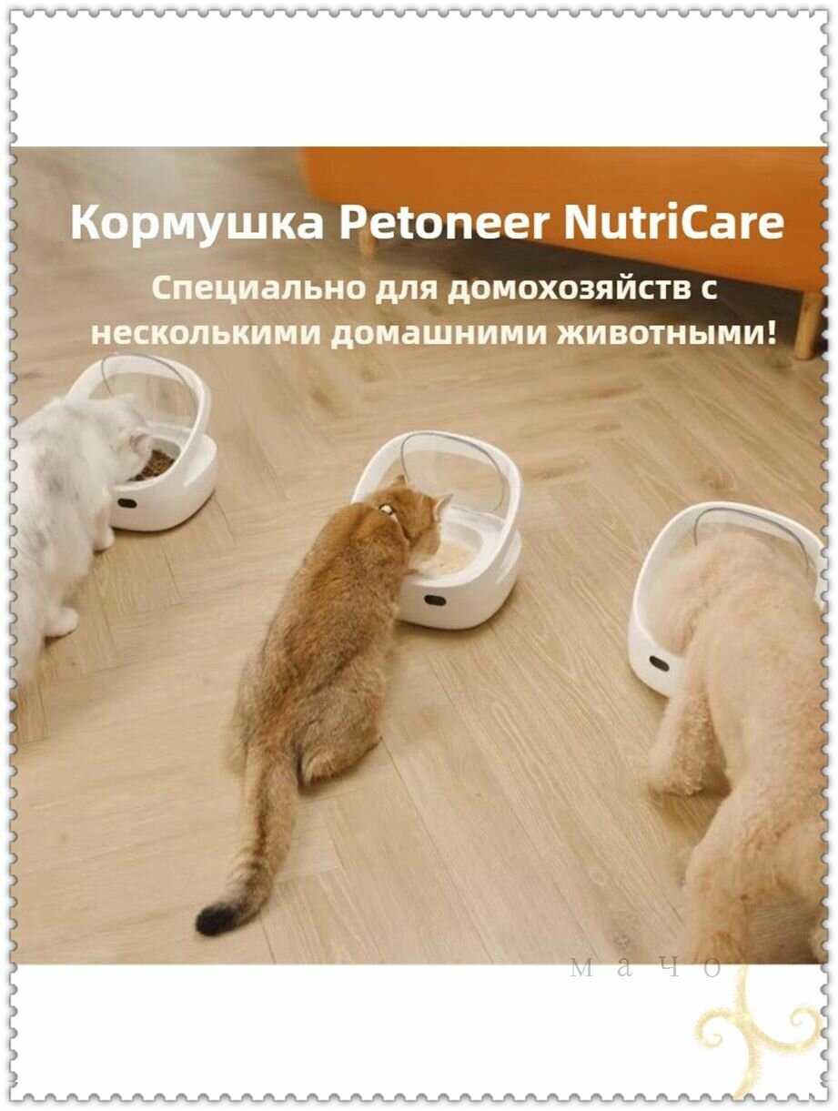 Автокормушка мачо — фото 1