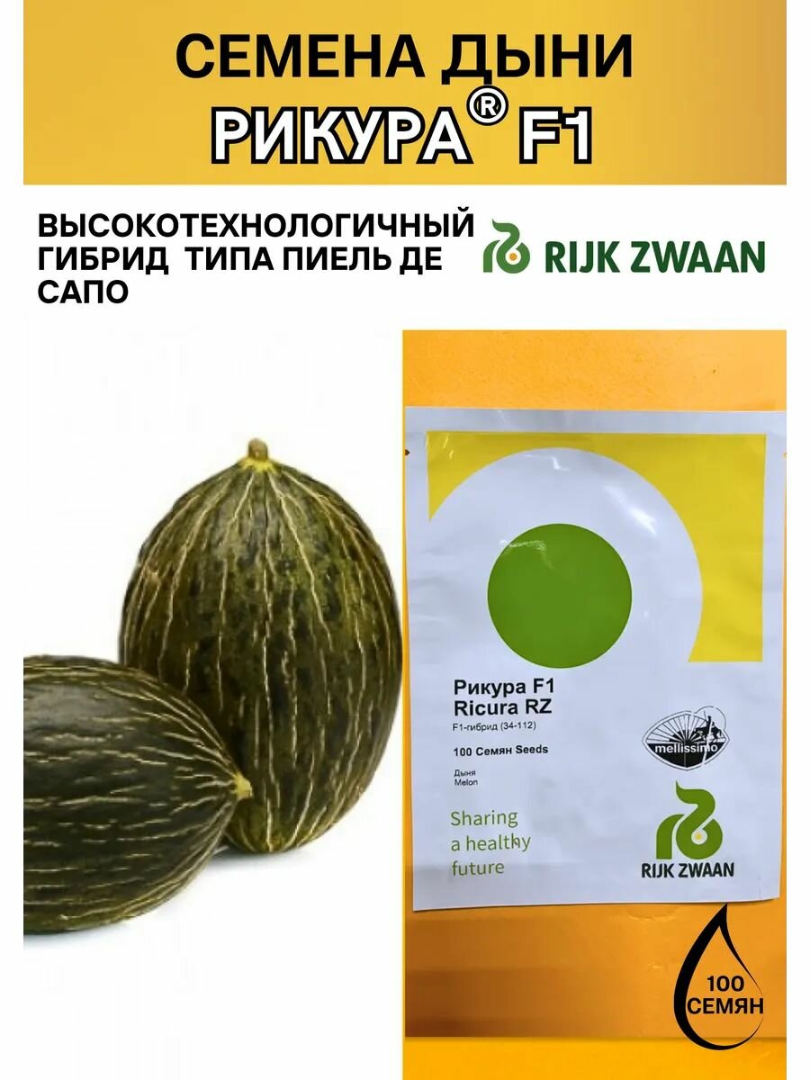 Семена дыни Рикура F1 100 штук упакован 10/2021, профессиональные семена