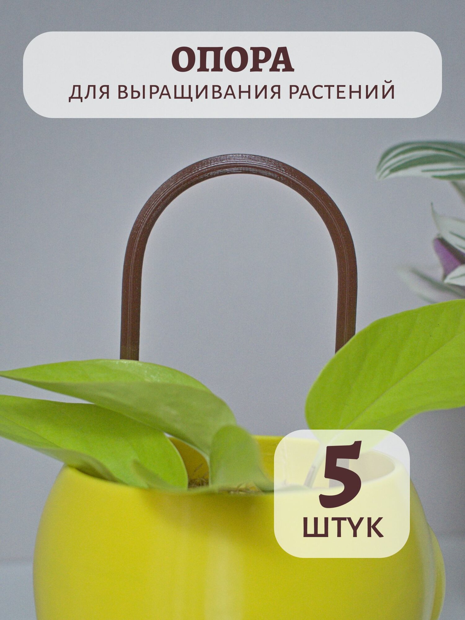 Опоры для комнатных растений, 5 шт, шоколадный, пластик, 3D-печать