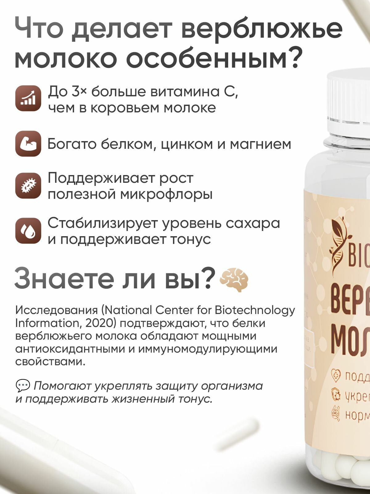 Верблюжье молоко — фото 1