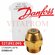Форсунка Danfoss 17.00GPH, 60B, 030B0145