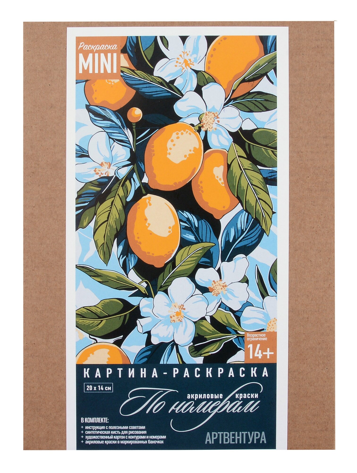 Картина-раскраска по номерам "Цветущие лимоны" 20х14 см.