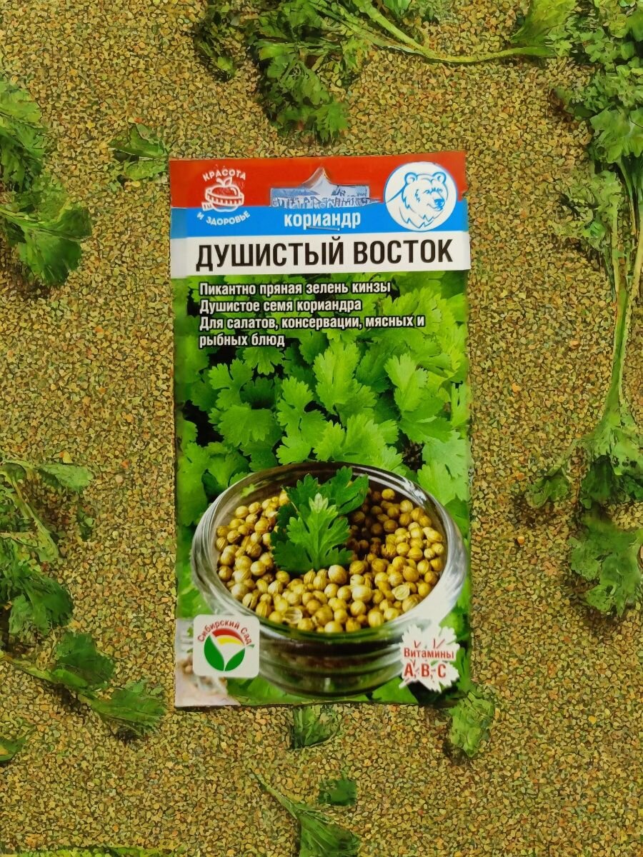 Семена кориандра ( зелень кинзы ) Душистый Восток . Холодостойкий, ранний. Агрофирма Сибирский Сад