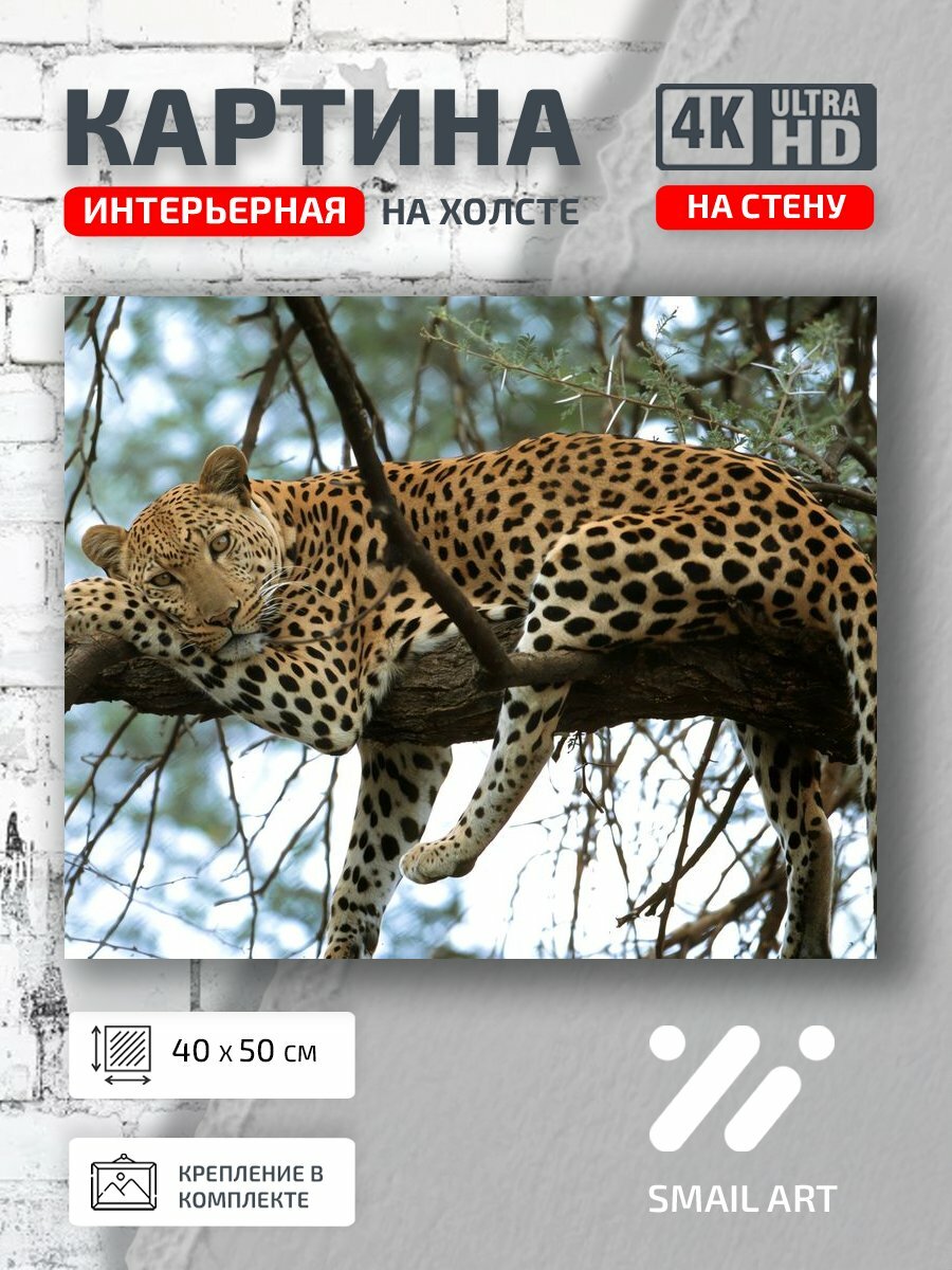Картина на холсте интерьерная 40 на 50 на стену Леопард Mood для спальни атмосфера интерьер
