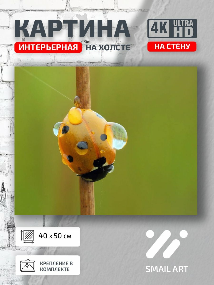 Картина на холсте интерьерная 40 на 50 на стену Насекомое Landscape для офиса пейзаж декор