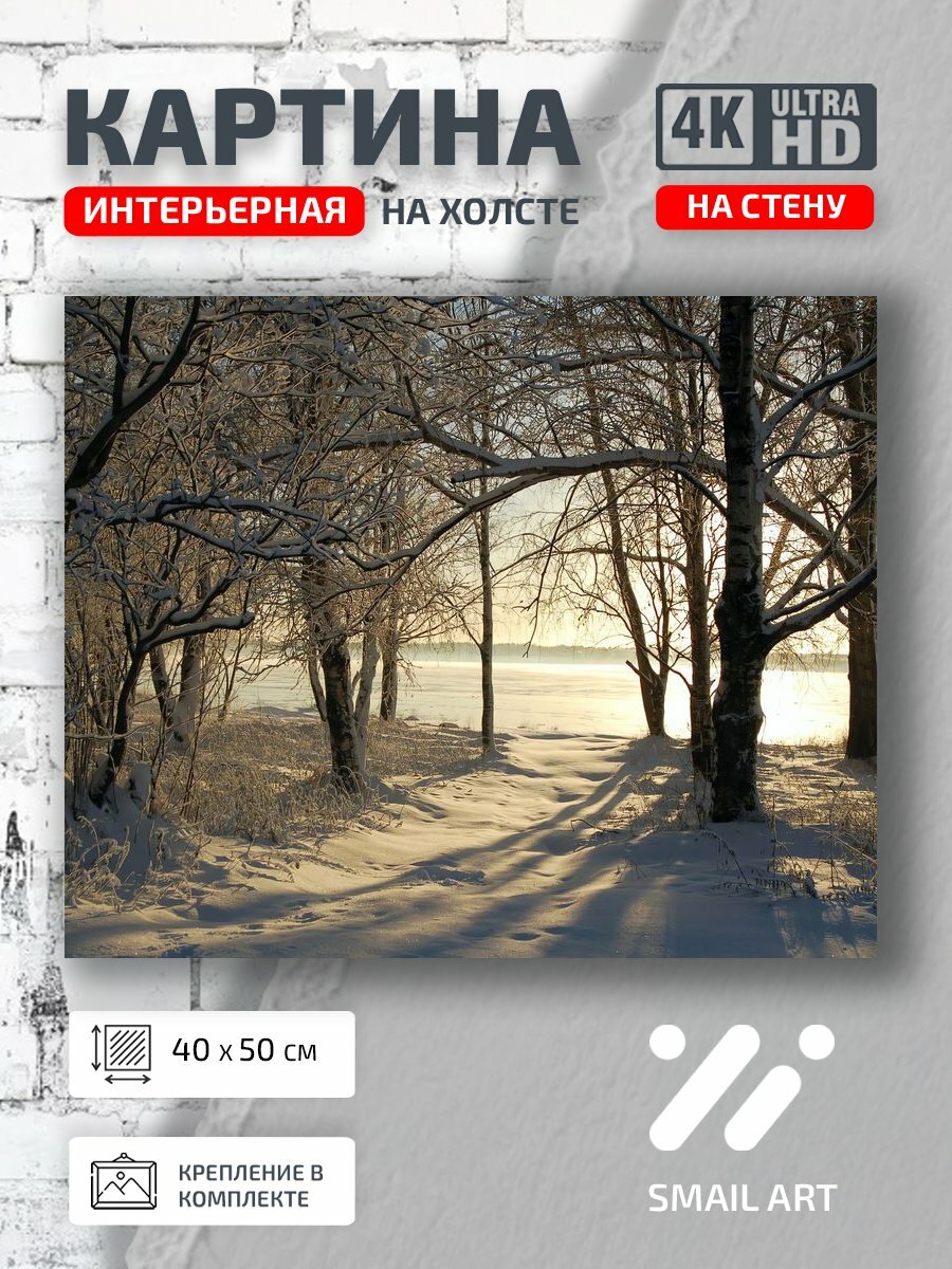Картина на холсте интерьерная 40 на 50 на стену Снег Landscape для гостиной пейзаж интерьер