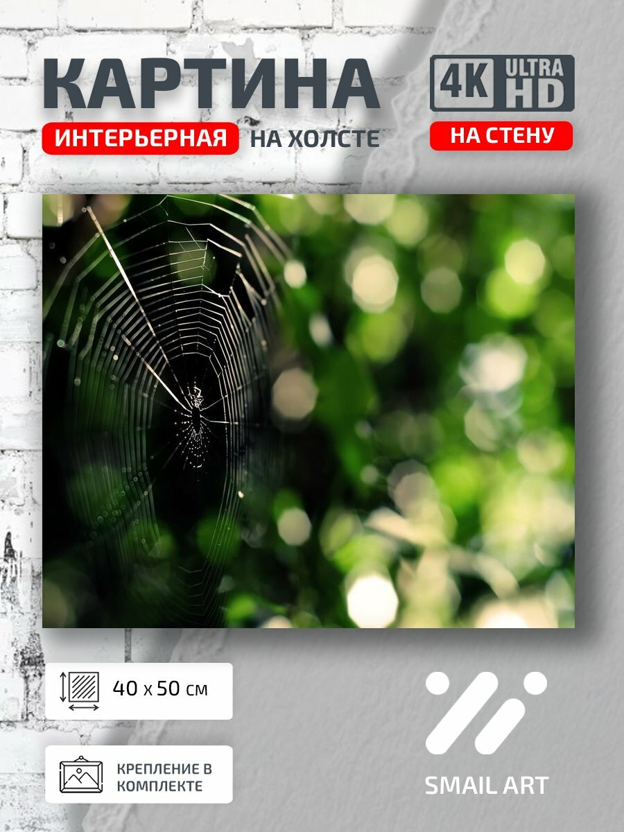 Картина на холсте интерьерная 40 на 50 на стену Лесу Landscape для спальни пейзаж интерьер