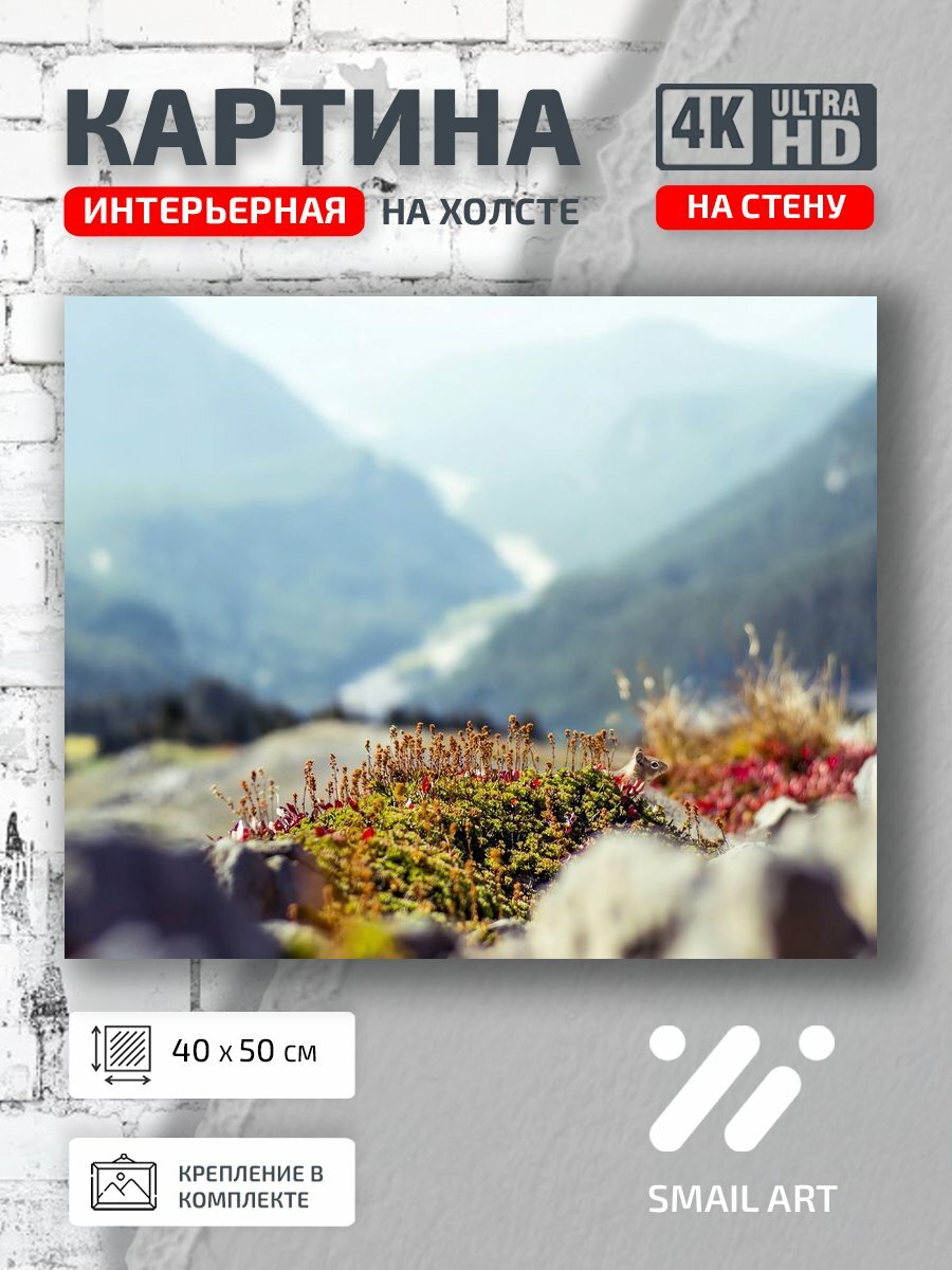 Картина на холсте интерьерная 40 на 50 на стену Горах Landscape для кафе пейзаж интерьер