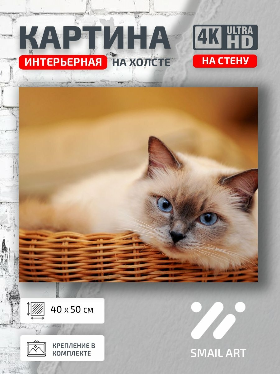 Картина на холсте интерьерная 40 на 50 на стену Глаза Animal для детской animal style декор