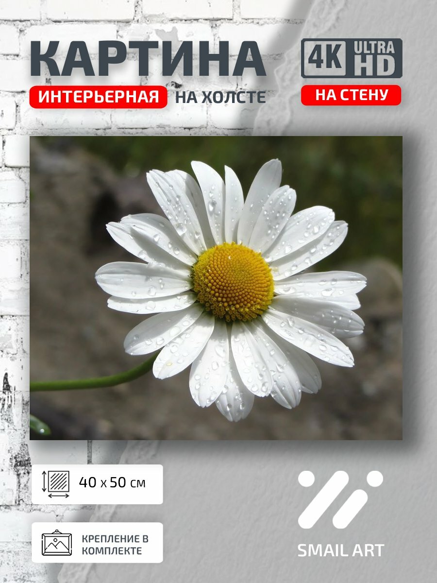 Картина на холсте интерьерная 40 на 50 на стену Капли Macro для офиса макро интерьер декор