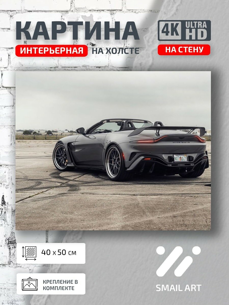 Картина на холсте интерьерная 40 на 50 на стену Martin Vantage для студии атмосфера