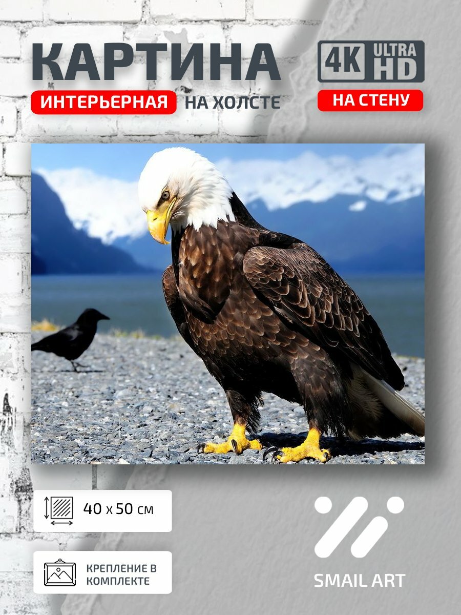 Картина на холсте интерьерная 40 на 50 на стену Вороной Animal для детской animal style