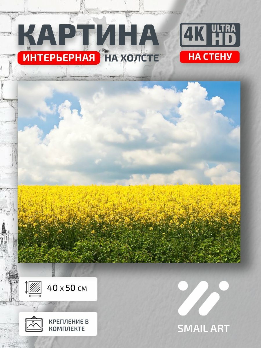 Картина на холсте интерьерная 40 на 50 на стену Облака Landscape для кафе пейзаж интерьер