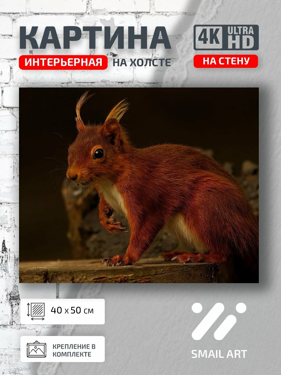 Картина на холсте интерьерная 40 на 50 на стену Белочка Mood для спальни атмосфера интерьер