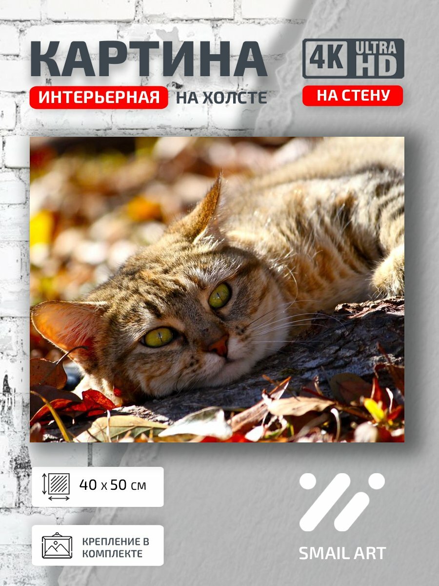 Картина на холсте интерьерная 40 на 50 на стену Дерево Landscape для гостиной пейзаж декор