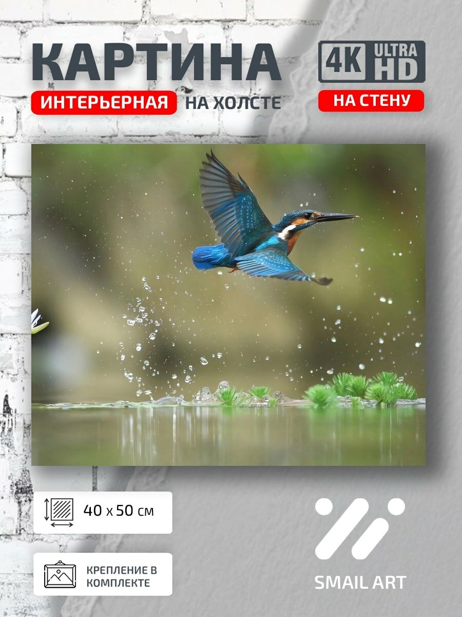 Картина на холсте интерьерная 40 на 50 на стену водяная лилия для студии атмосфера
