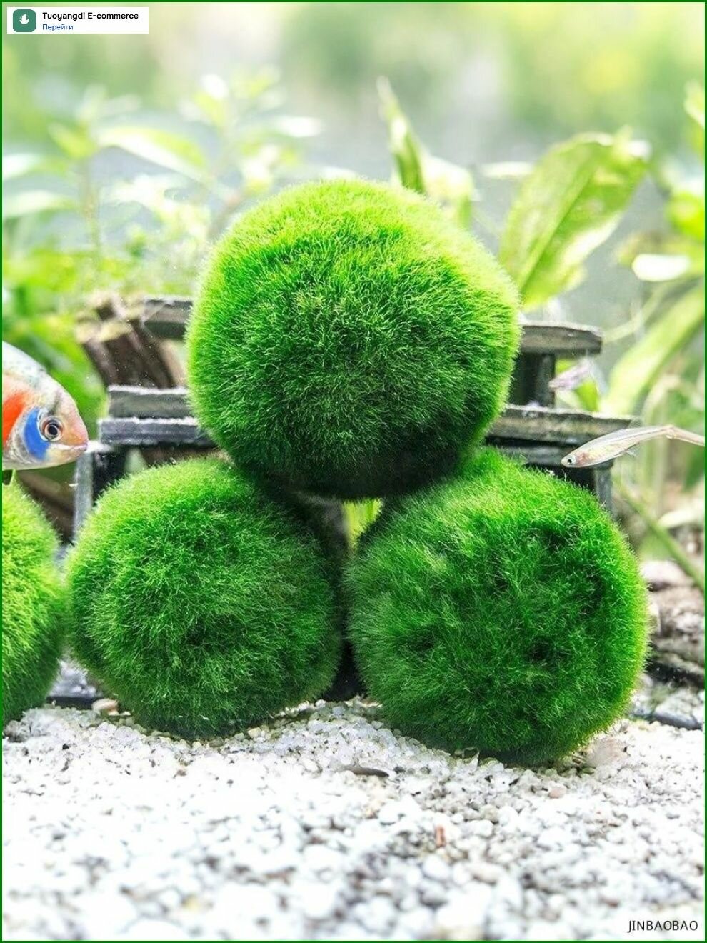 Декорация для аквариума