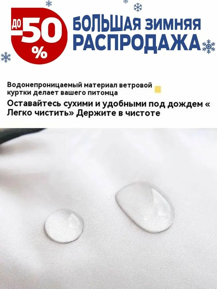 Одежда для животных — фото 1