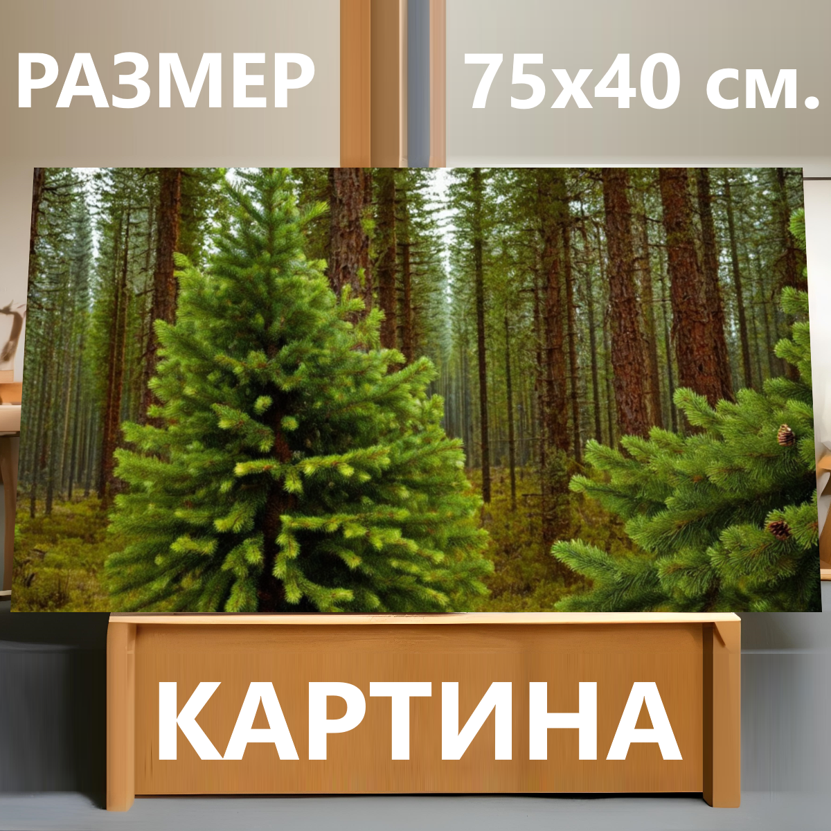 Картина на холсте "Лес в стиле фотореализм, сосновый лес с характерным запахом хвои и шишками, звуками природы и пением птиц" на подрамнике 75х40 см. для интерьера